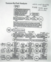 How to Determine Soil Texture: Cheat Sheet – Positively Sustainable