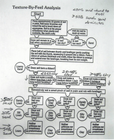 How to Determine Soil Texture: Cheat Sheet – Positively Sustainable