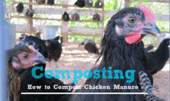Composting Manure | How to Compost Manure
