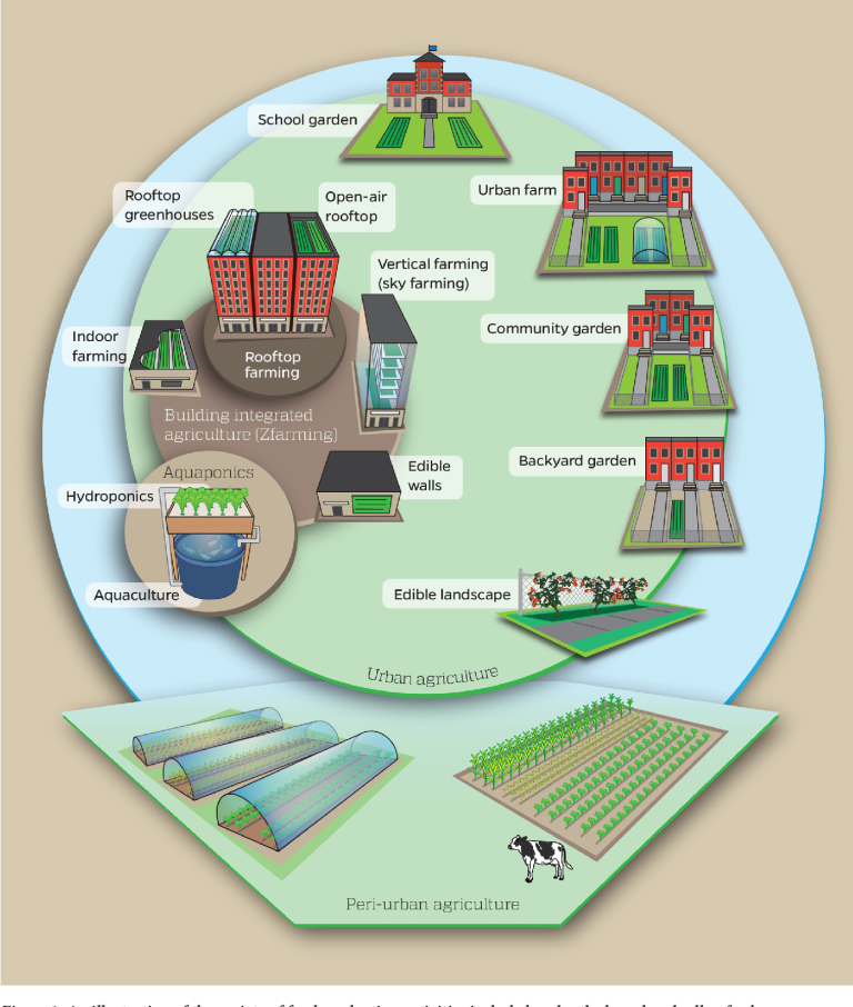 Sustainable Urban Agriculture and Food Systems in 2023