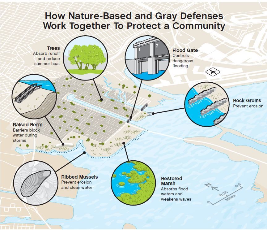 Incorporating Water Conservation Measures in Urban Design