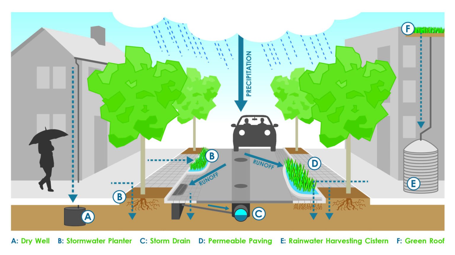 Importance of Green Infrastructure in Stormwater Management