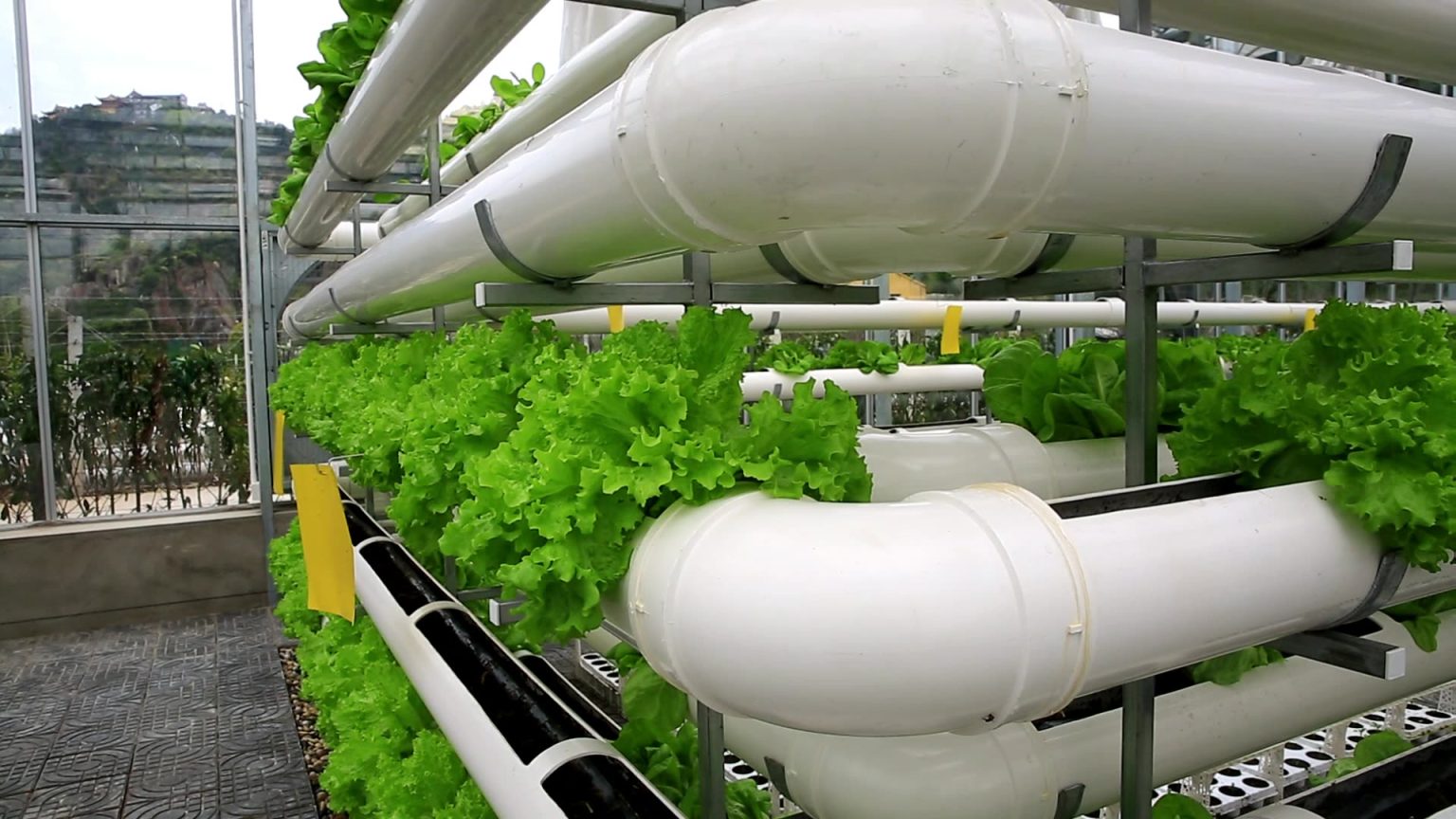 Innovative Techniques for Urban Agriculture