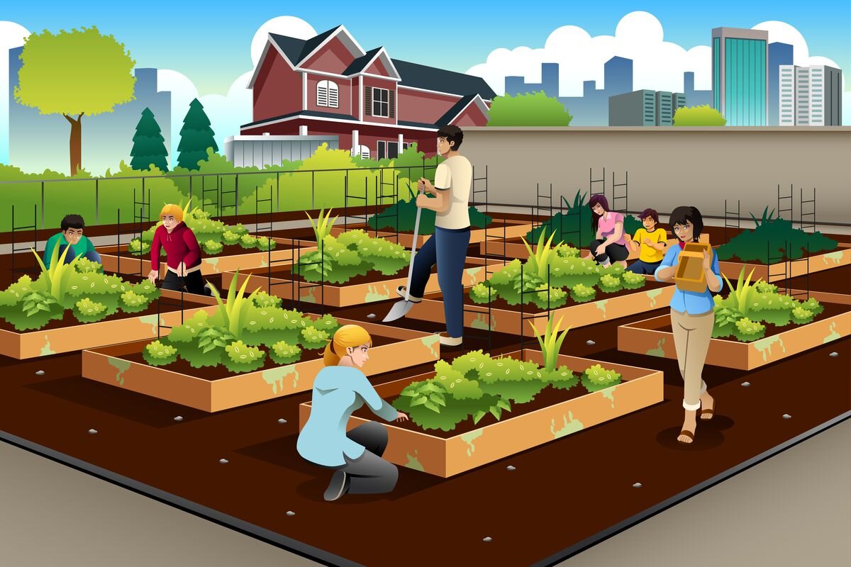 Seeds of Change: Urban Agriculture's Groundbreaking Impact on Community ...