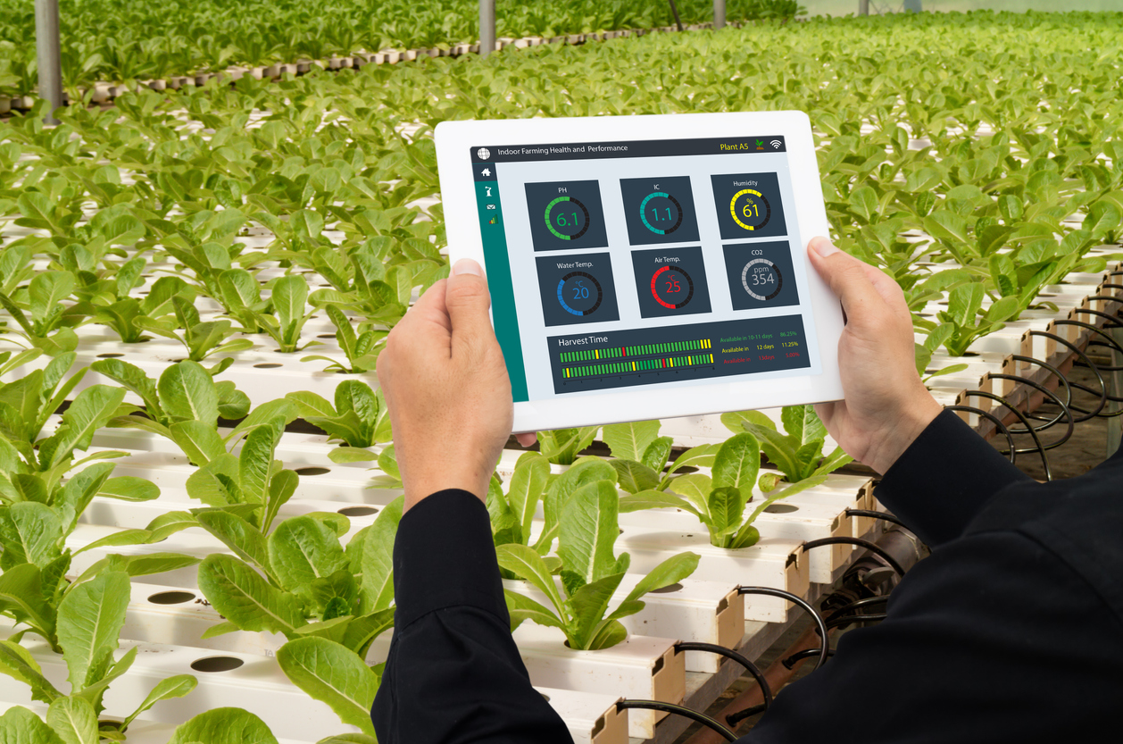 Seeding the Future: How Technology is Transforming Urban Agriculture ...
